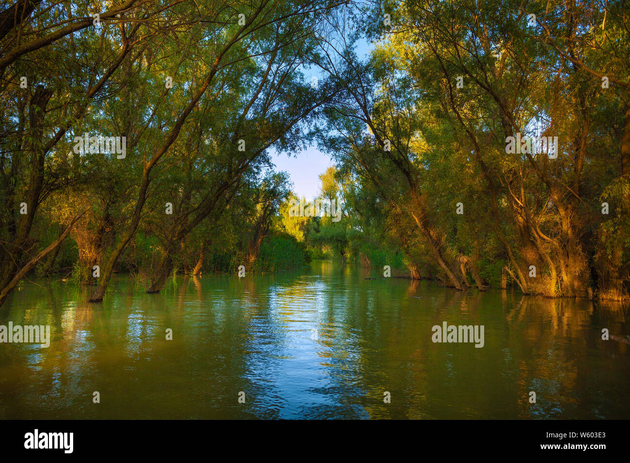 Beautiful areas of the Danube Delta unique landscape at sunset Stock ...