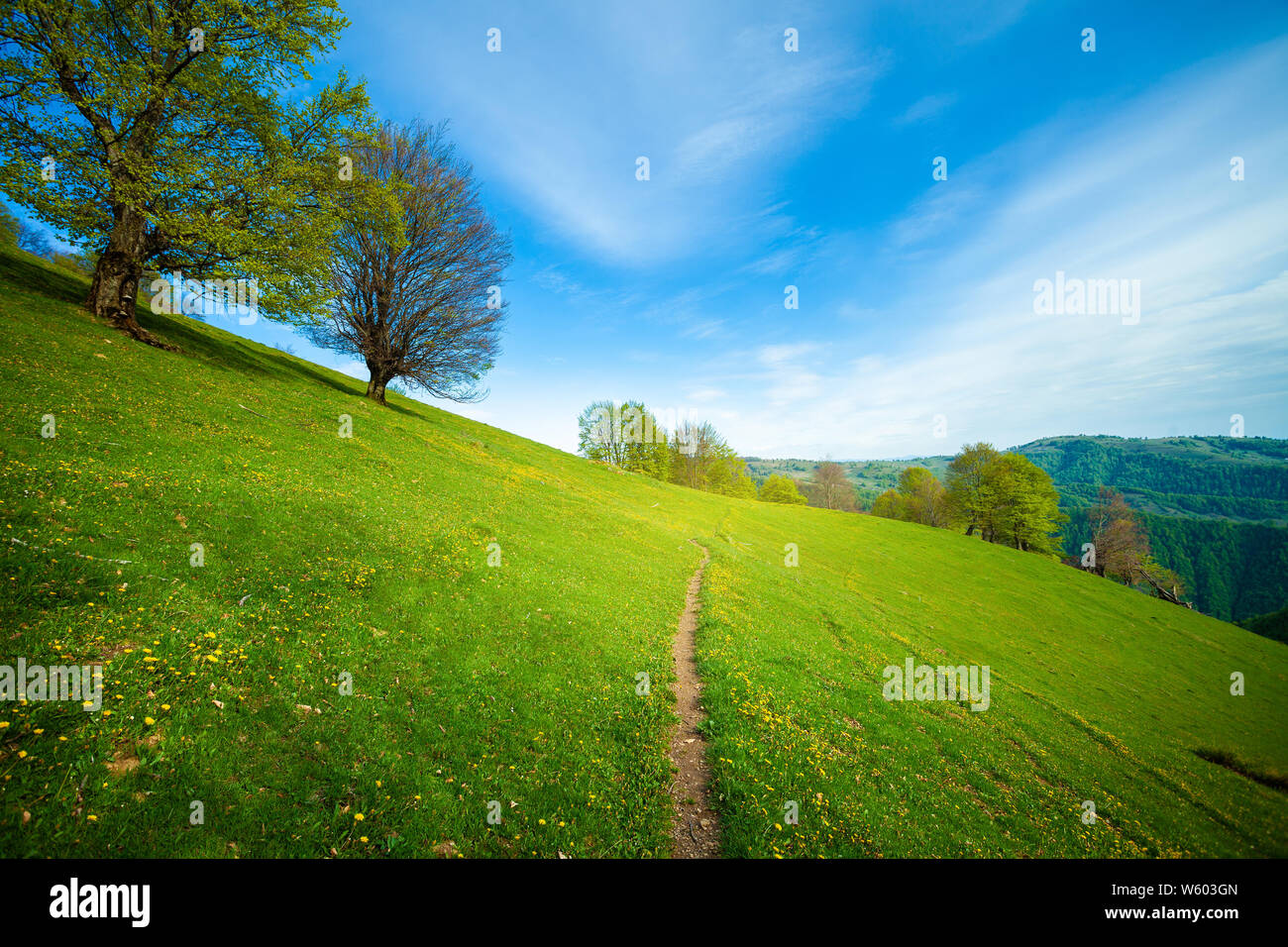 Choosing way through hi-res stock photography and images - Alamy