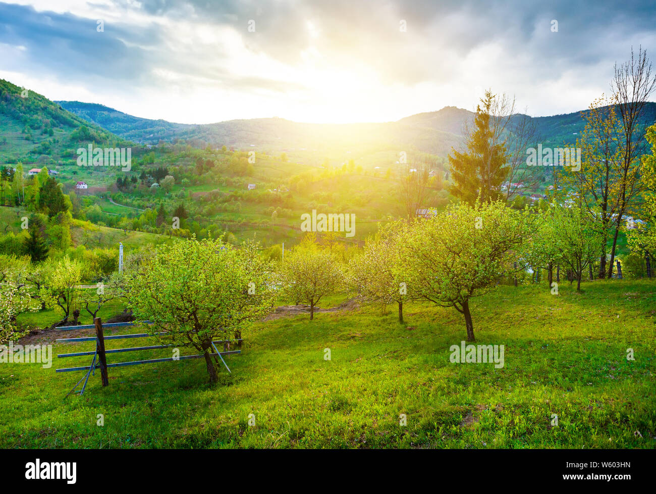 Orchard grass hills hi-res stock photography and images - Alamy