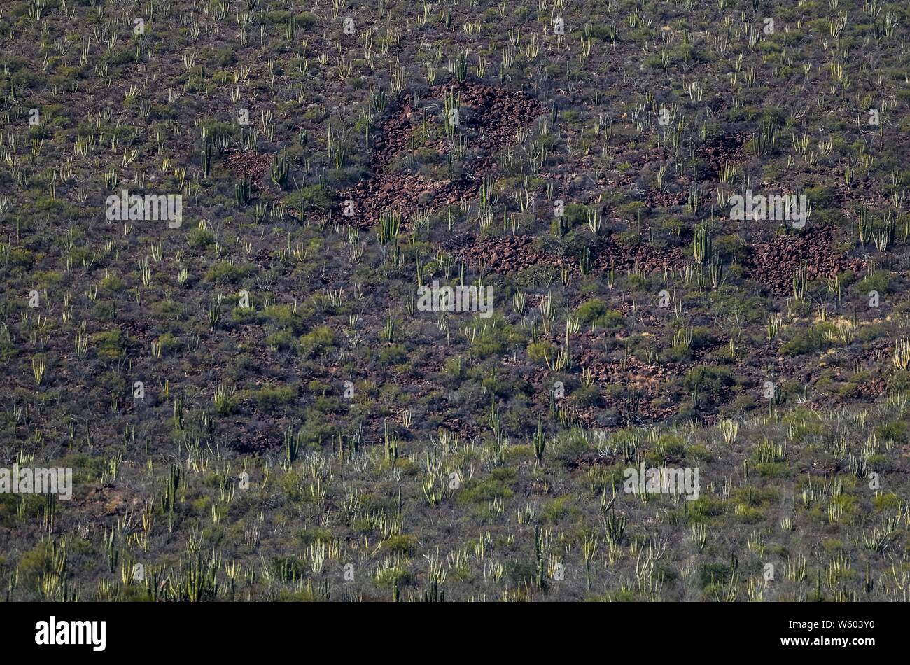 Desierto de matorral hi-res stock photography and images - Alamy