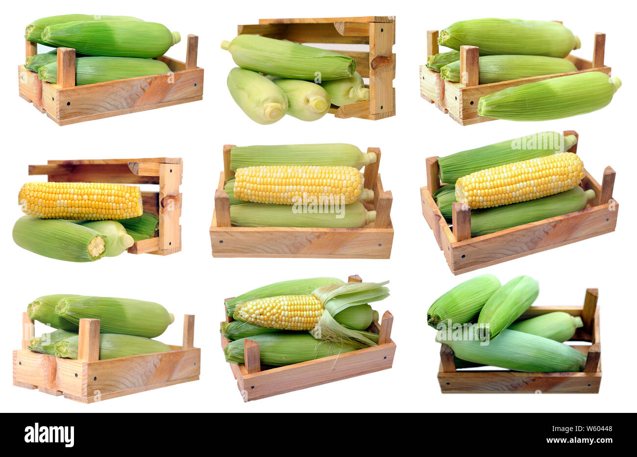 corn in crate isolated on white Stock Photo - Alamy