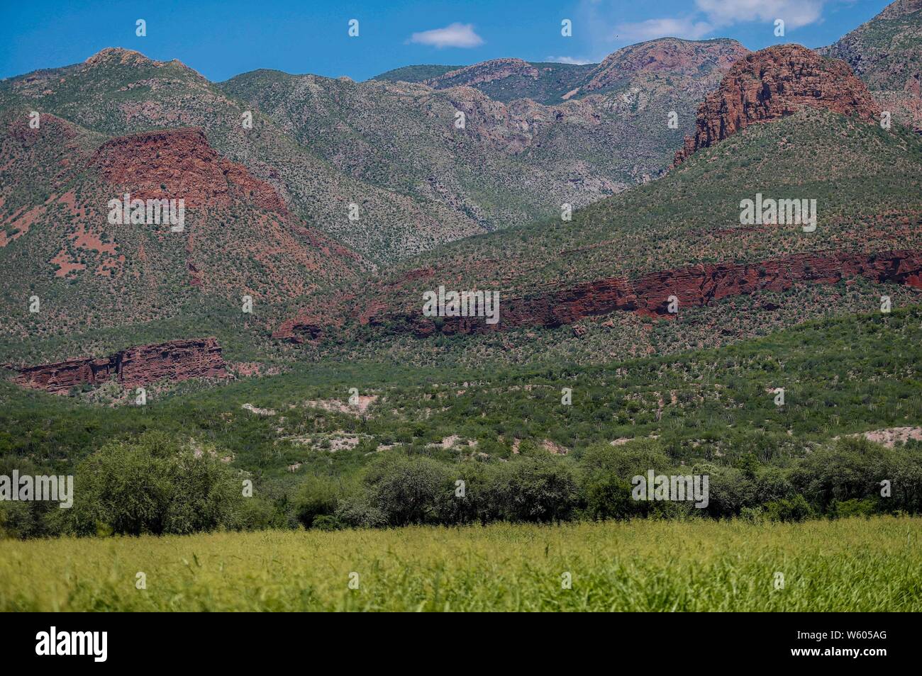 Granados, Sonora, Mexico. Sierra Alta. Sierra Madre Occidental. Pueblo ...