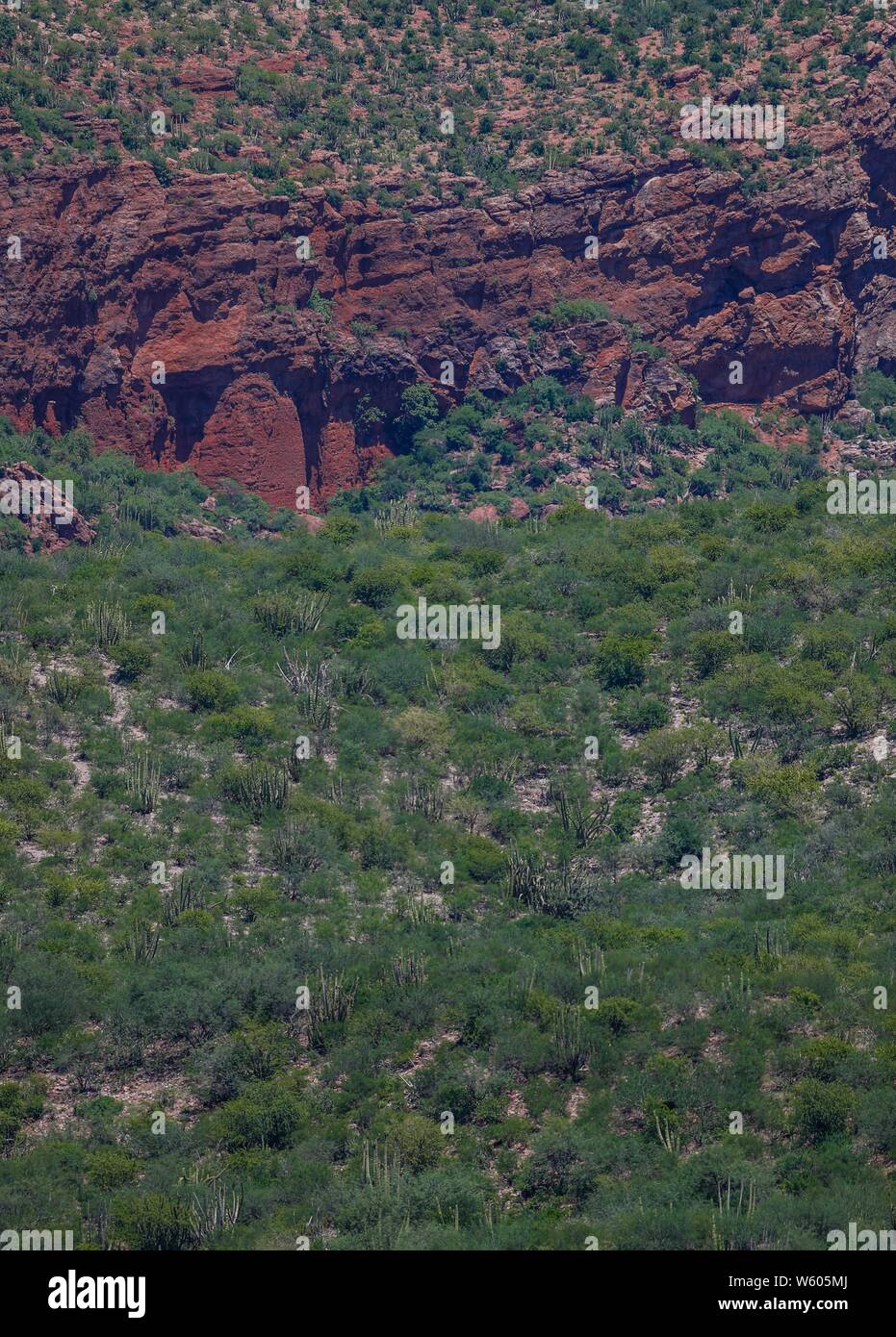 Granados, Sonora, Mexico. Sierra Alta. Sierra Madre Occidental. Pueblo ...