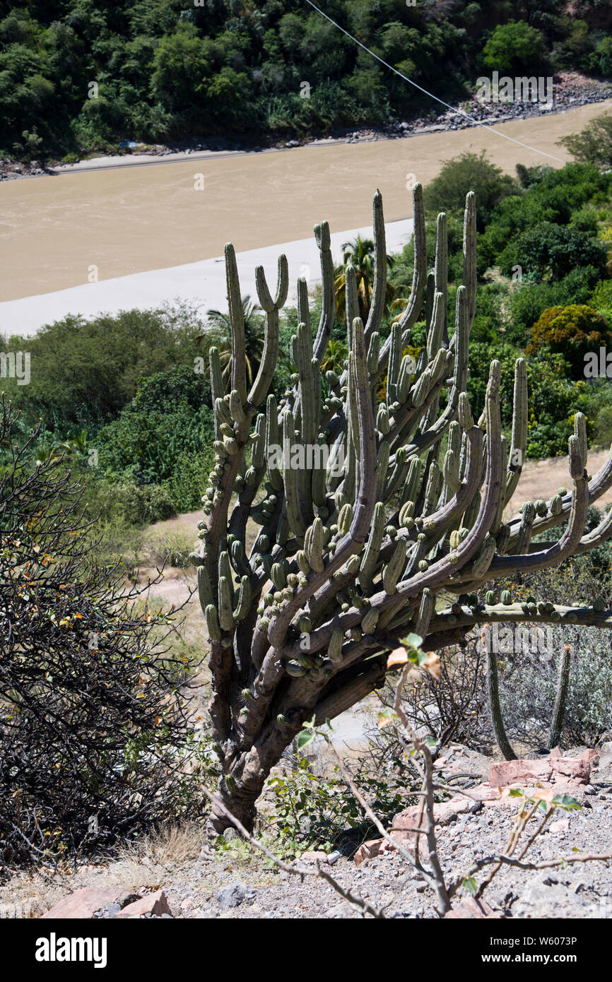 Rio Balsa River Canyon Valley,Mountains,Winding Roads,Scenic Drives ...