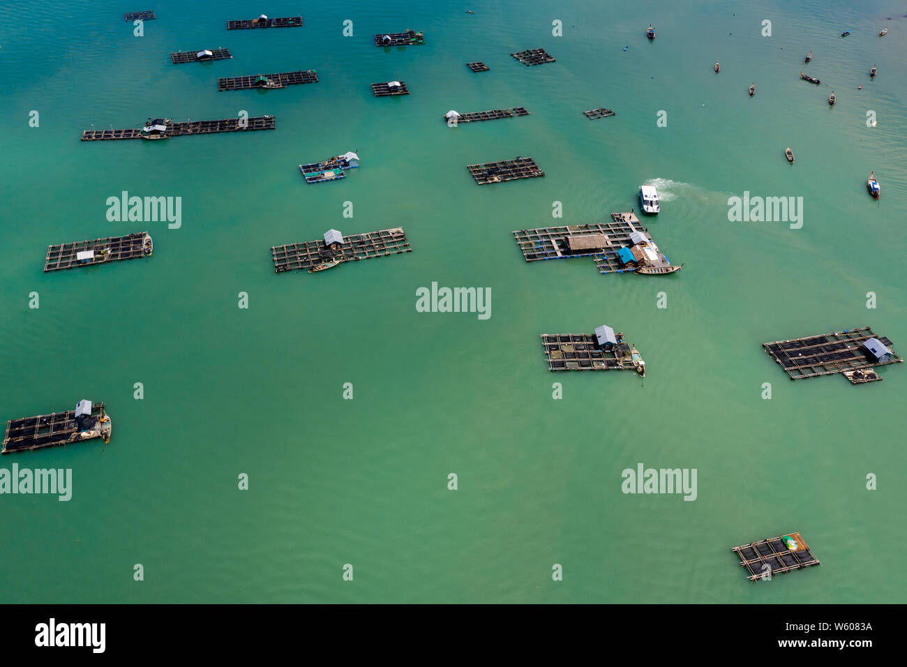 Aerial view of traditional floating fish farms in a shallow ocean in ...
