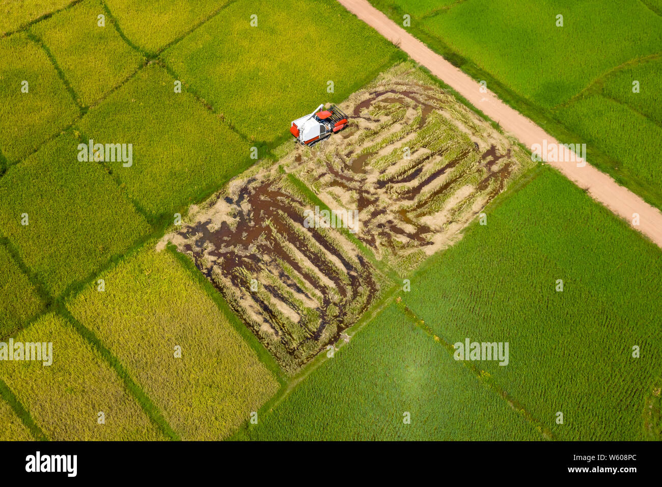 Aerial view of rice being harvested in a picturesque rice paddy Stock ...
