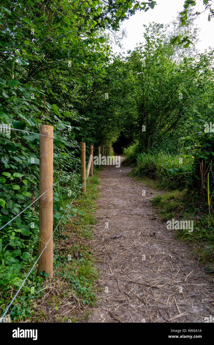 woodland path with fence to side disappearing off in the distance Stock ...