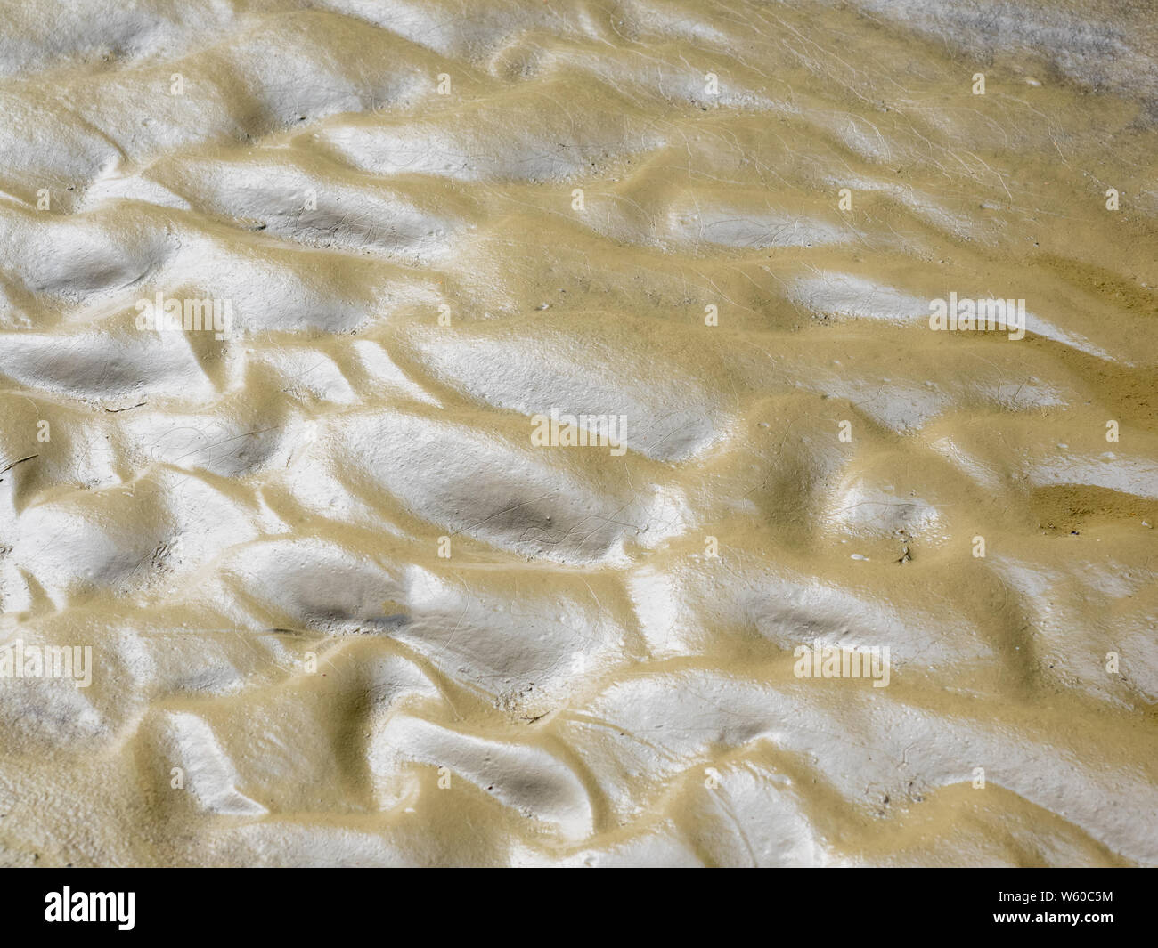 natural background: curved and sinuous pattern shapes created by the ...