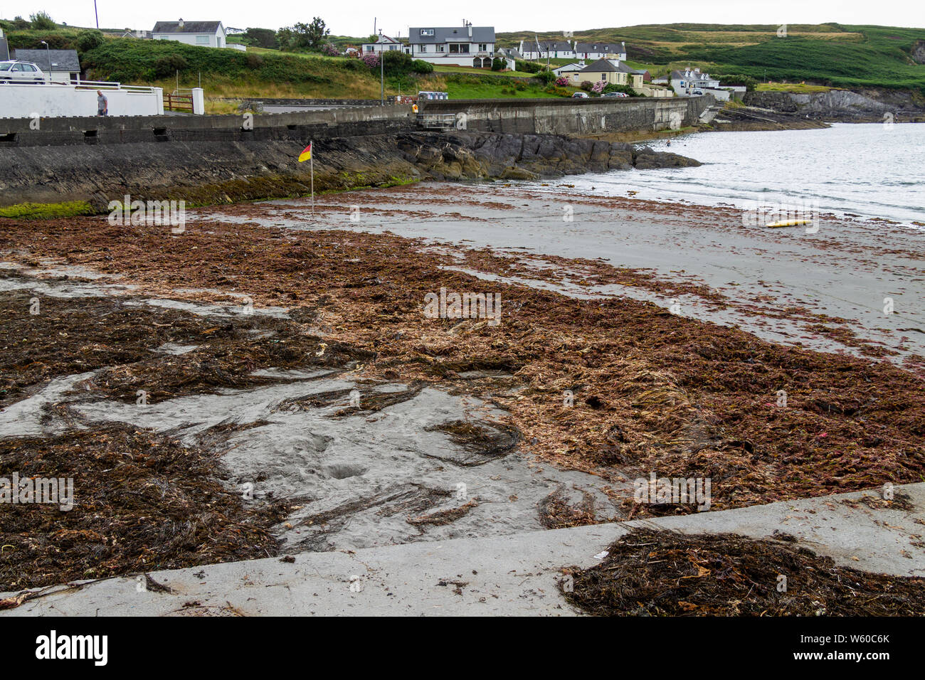 Rotting vegetation hi-res stock photography and images - Alamy