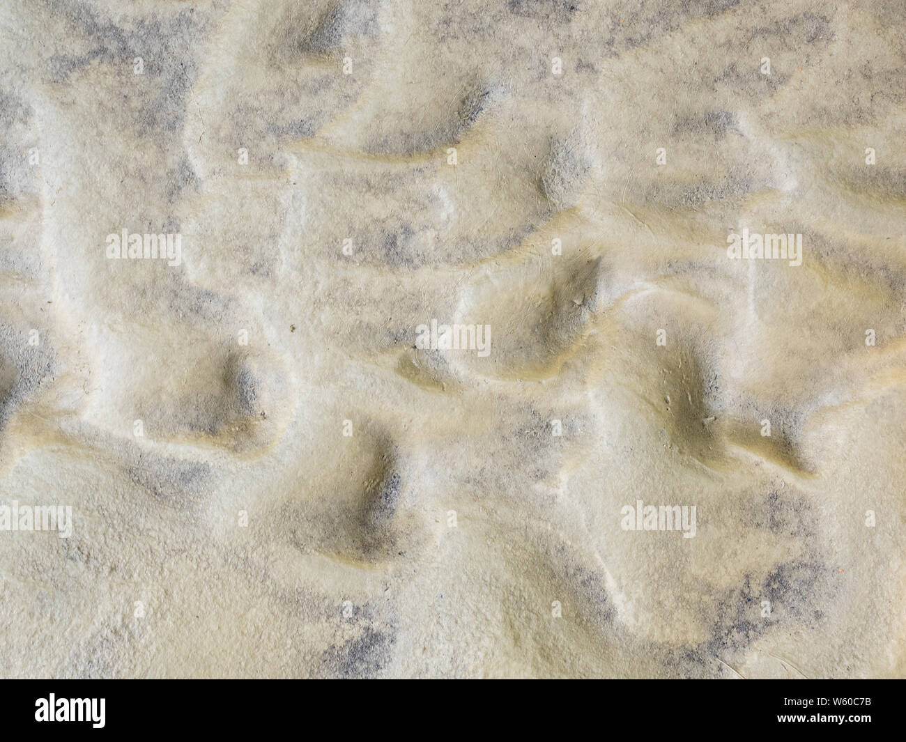 natural background: curved and sinuous pattern shapes created by the ...