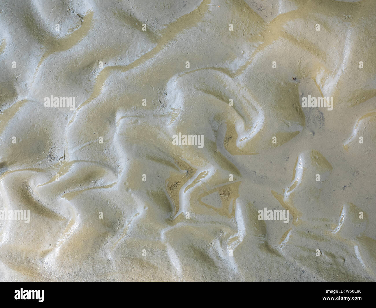 natural background: curved and sinuous pattern shapes created by the ...