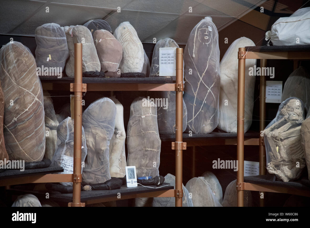 LeymeBamba Archilogical Museum,Mummies,Pottery,Ceramics,Tribal,Northern ...