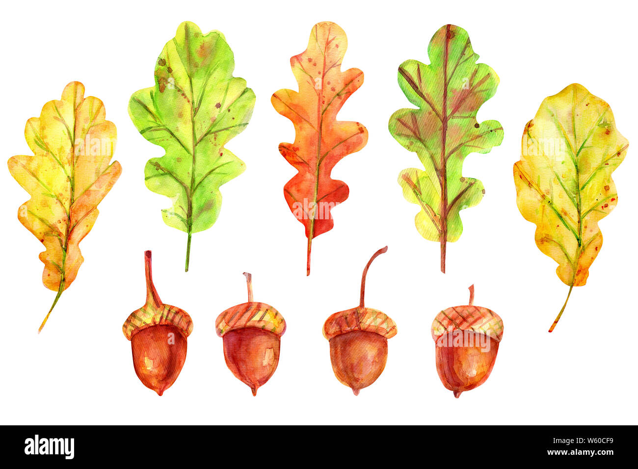 Watercolor forest tree hand Cut Out Stock Images & Pictures - Alamy