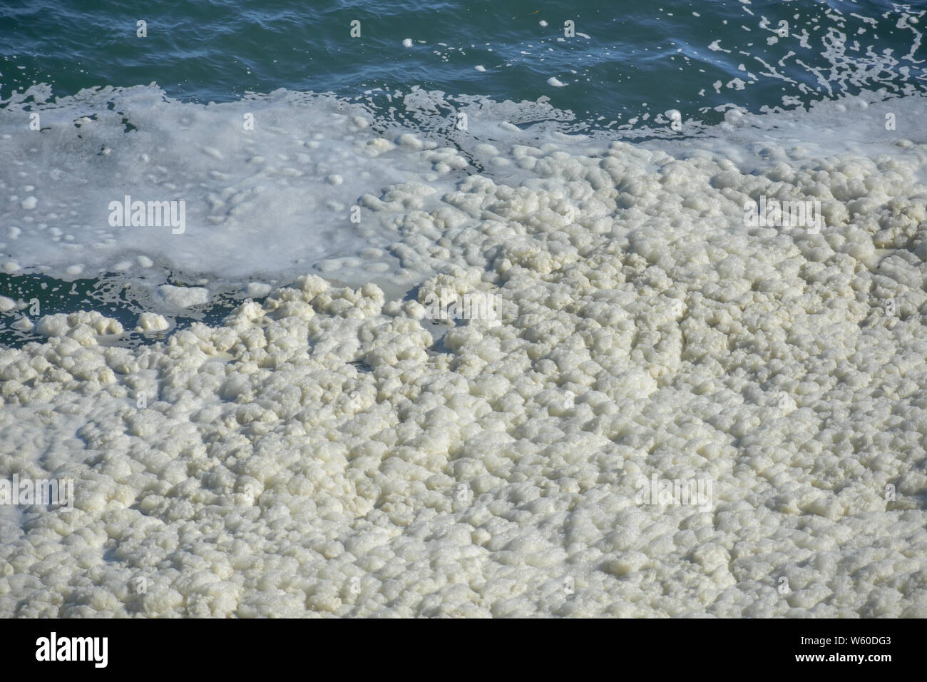 Sea foam covering the ocean surface Stock Photo - Alamy
