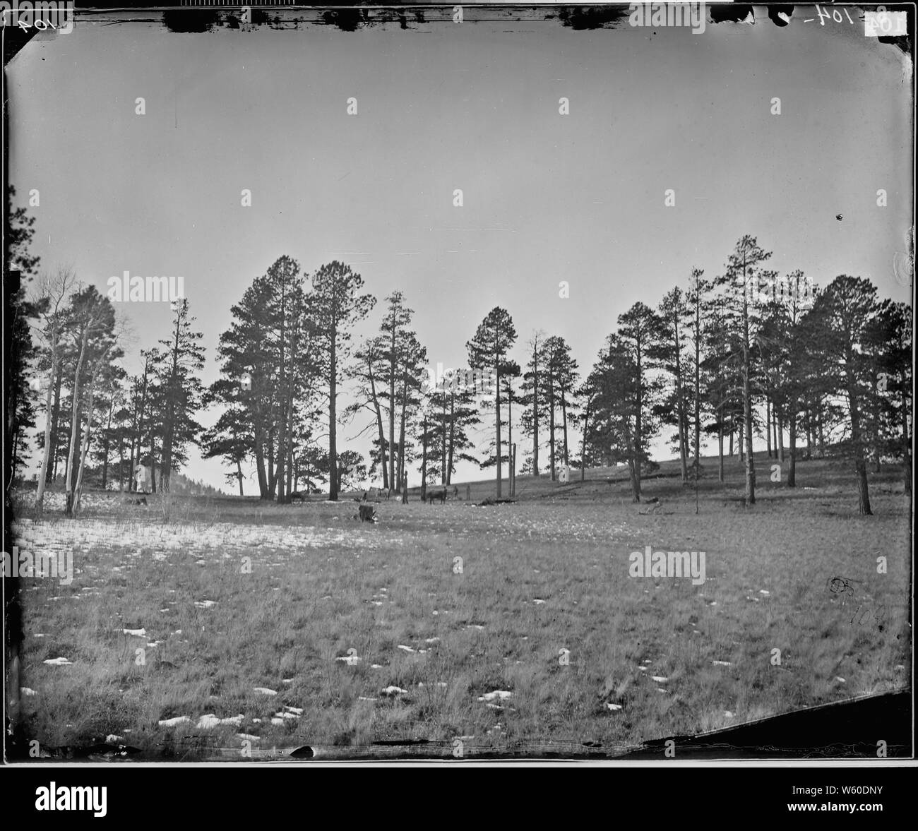 Alkali lake in extinct volcanic crater hi-res stock photography and ...
