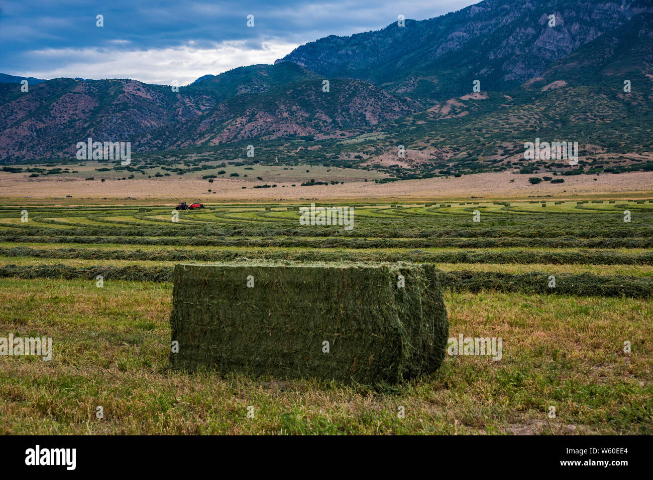 Summer scenes of meadows and rural farmland Stock Photo - Alamy