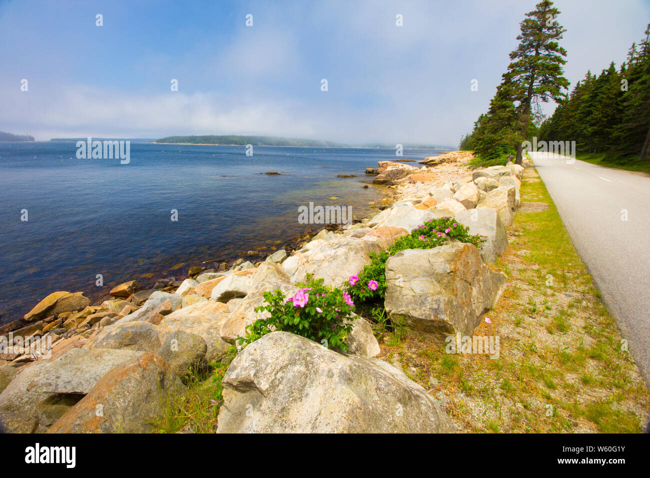 Schoodic Loop Road, Acadia National Park, Maine Stock Photo - Alamy