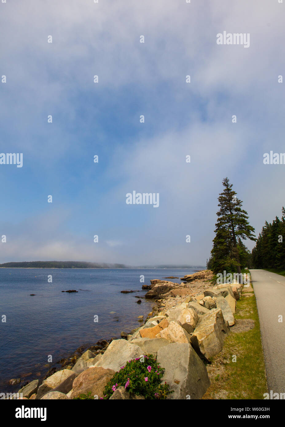 Schoodic Loop Road, Acadia National Park, Maine Stock Photo - Alamy