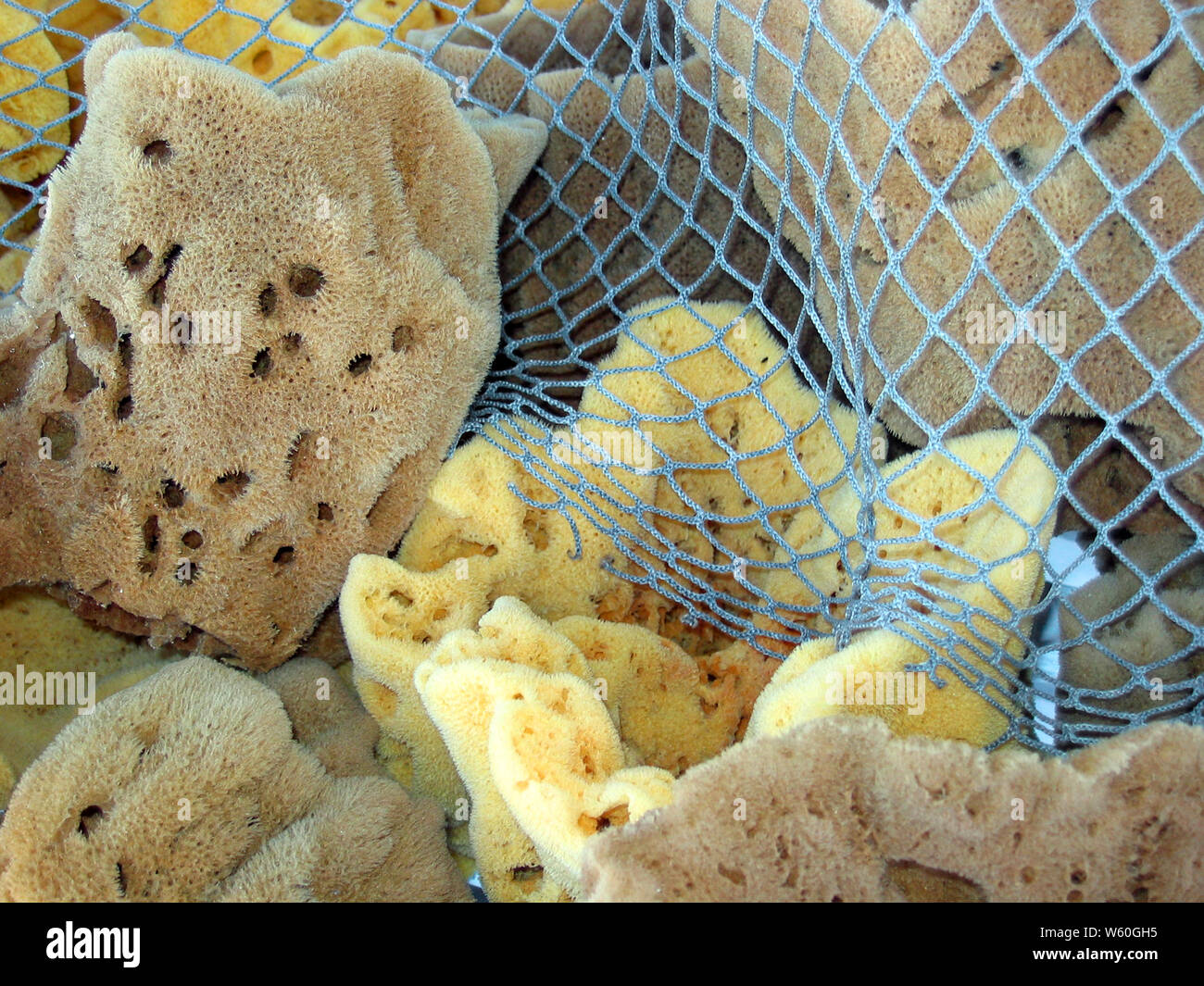 Silky net hi-res stock photography and images - Alamy