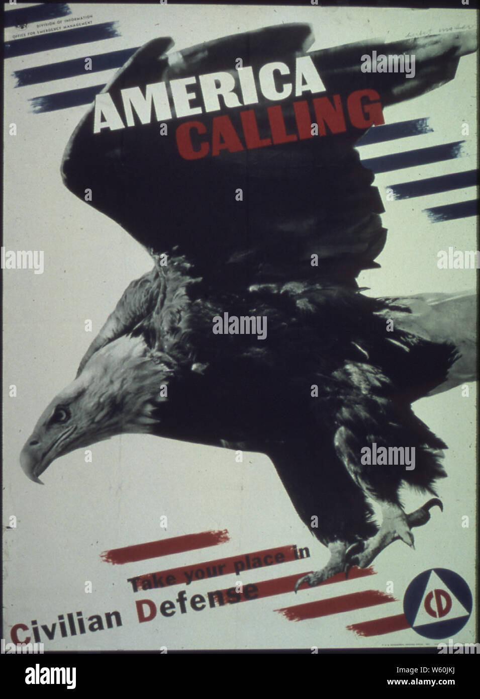 America Calling (Eagle Stock Photo - Alamy