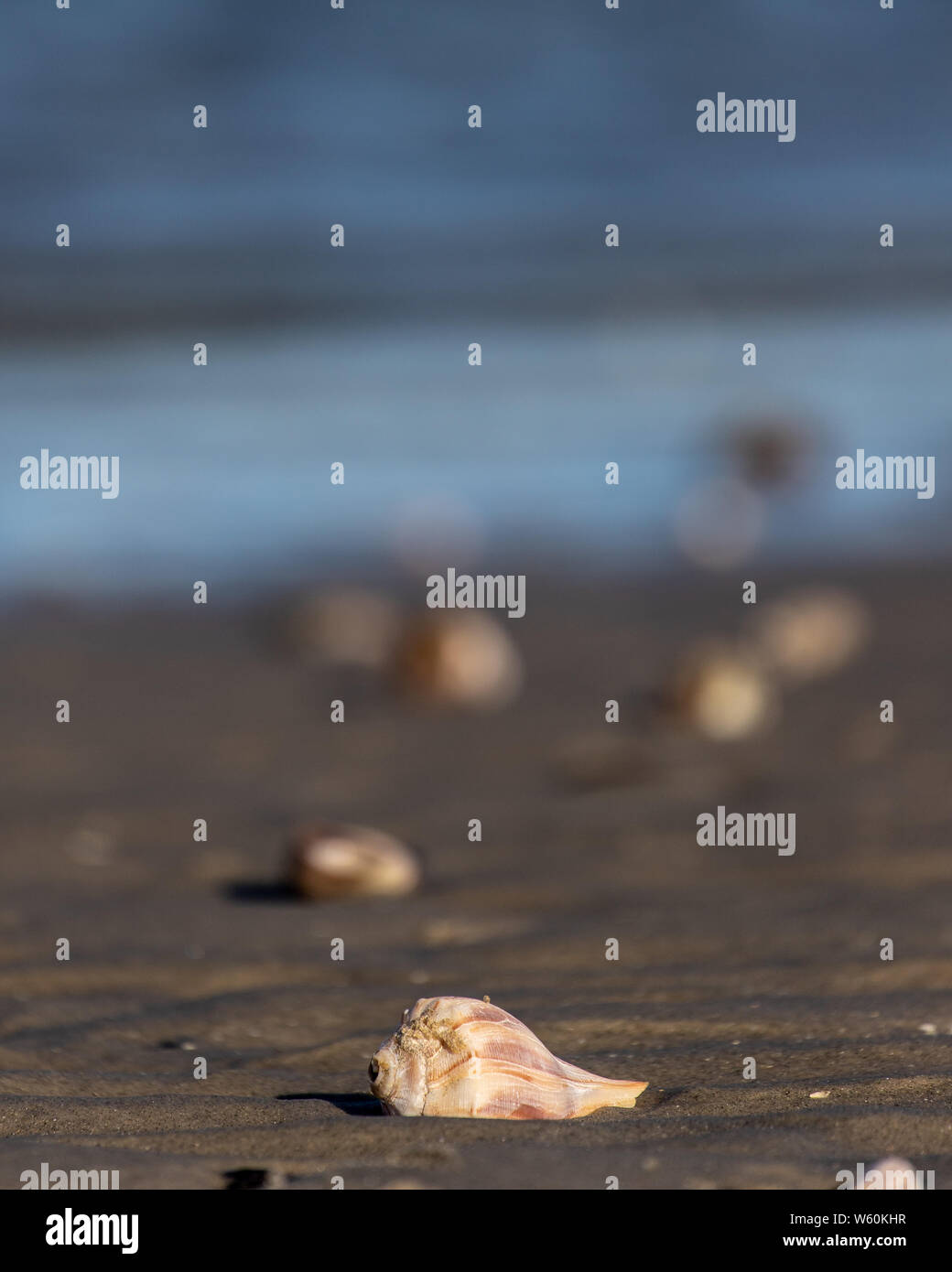 Nantucket Beach High Resolution Stock Photography and Images - Alamy