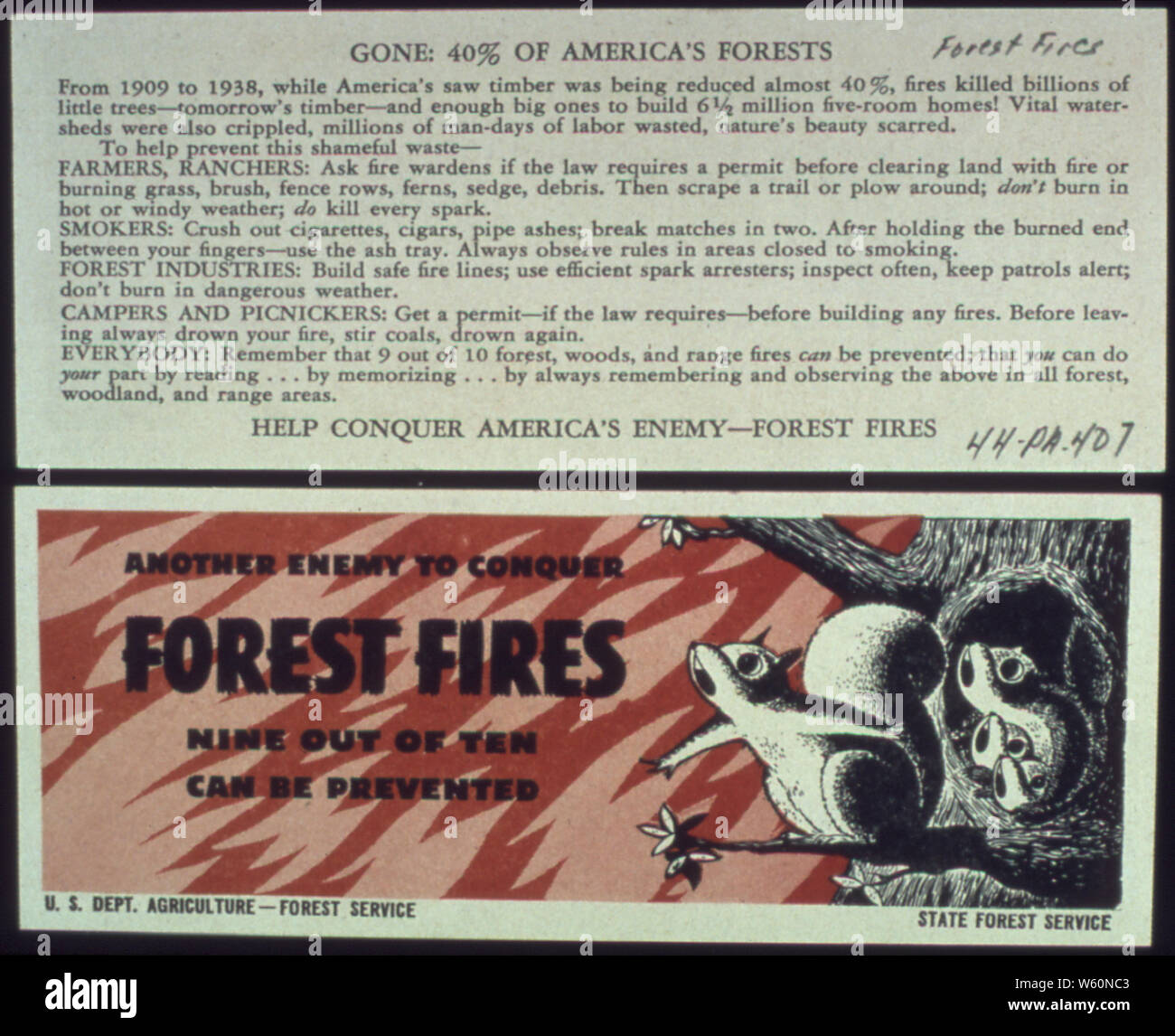 Another enemy to conquer forest fires. Nine out of ten can be prevented ...