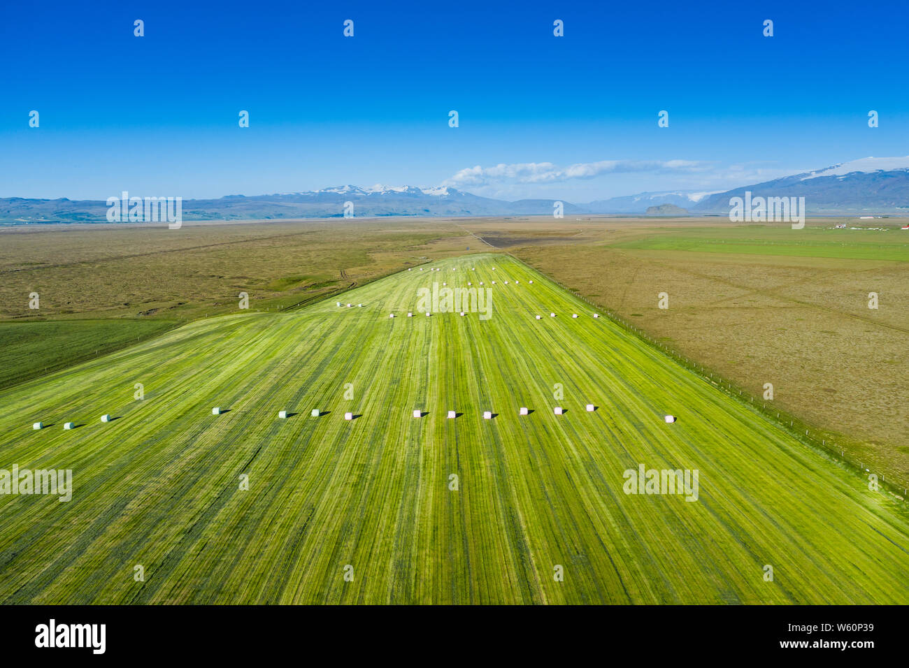 Aerial view of round hay bales Stock Photo - Alamy