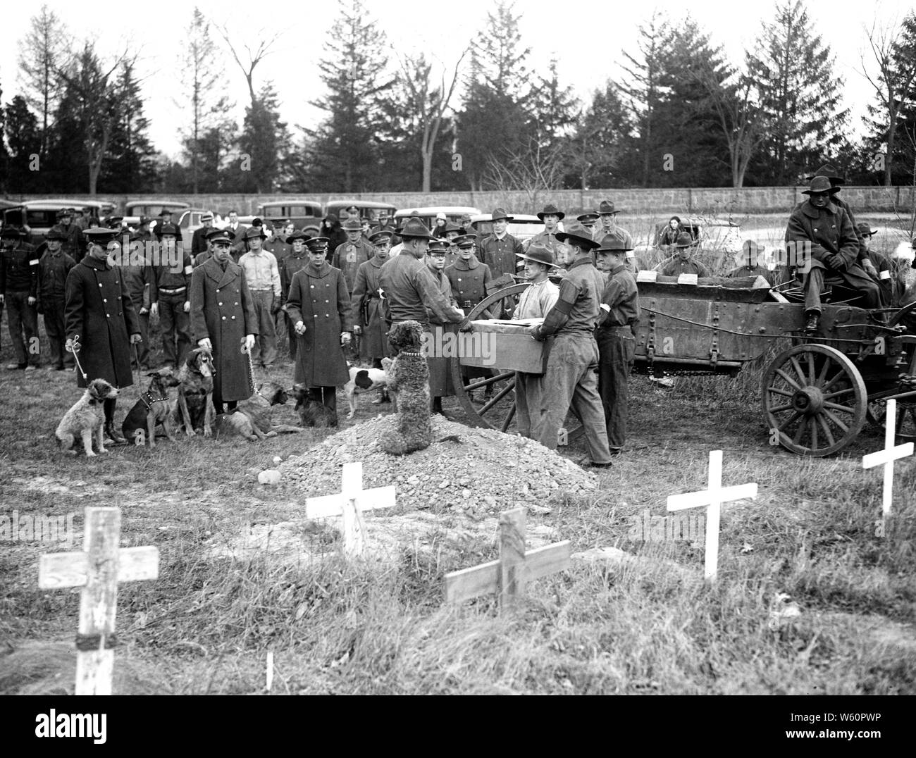 Finnigan buried with military rites. The photograph shows one of the ...