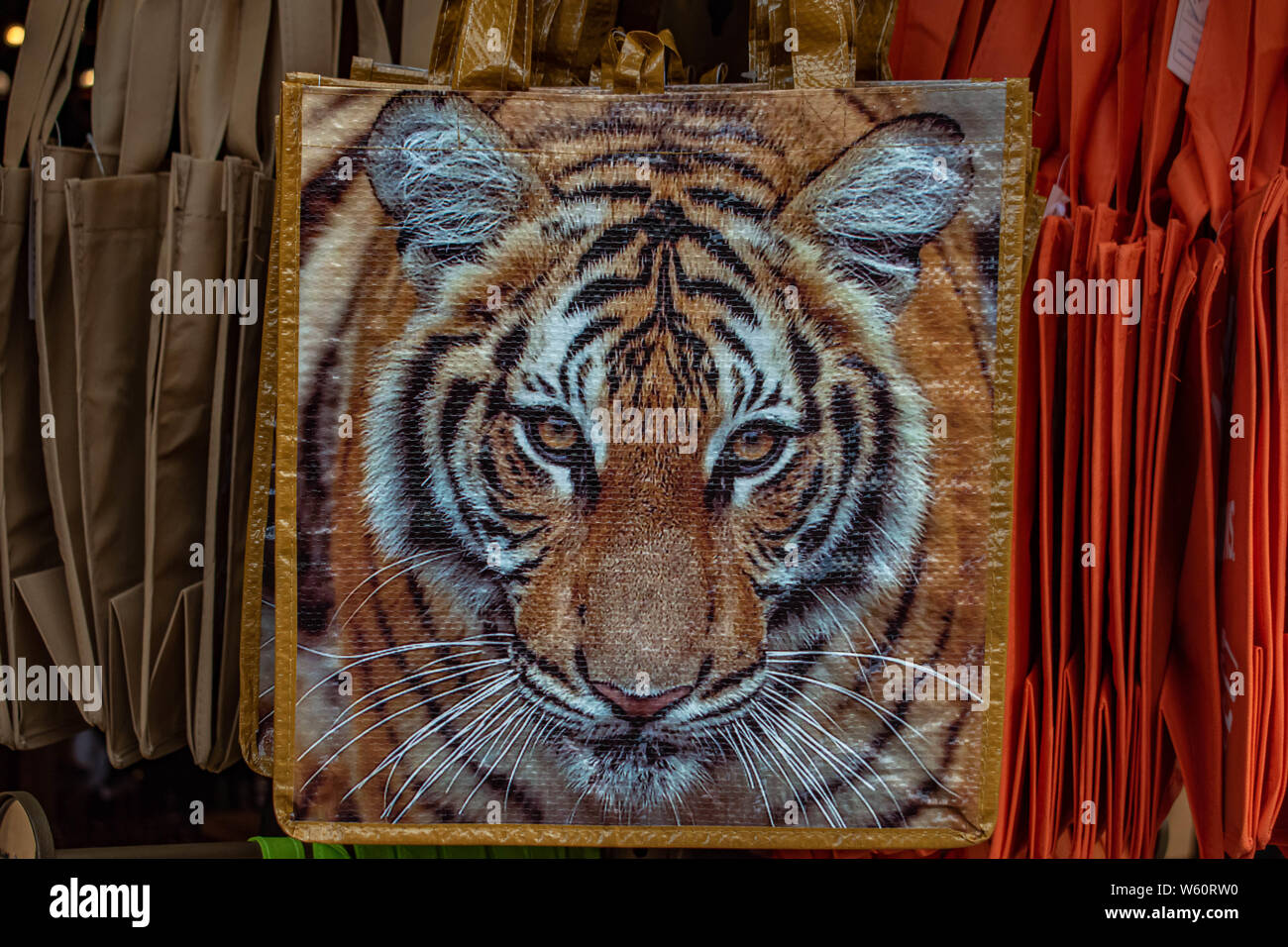 Tampa Bay , Florida. July 12, 2019 Bengal tiger bag at Busch Gardens ...