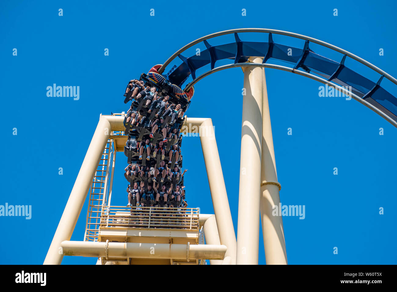 Tampa Bay, Florida. July 12, 2019. People having fun terrific Montu ...
