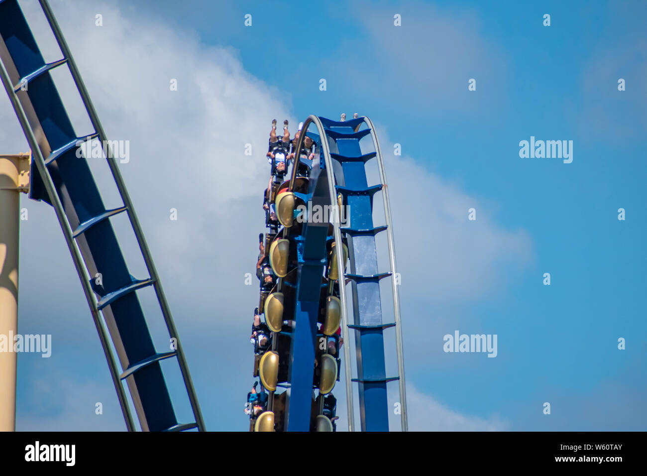 Montu roller coaster busch gardens hi-res stock photography and images ...
