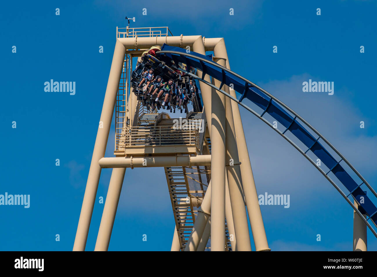 Montu roller coaster hi-res stock photography and images - Alamy