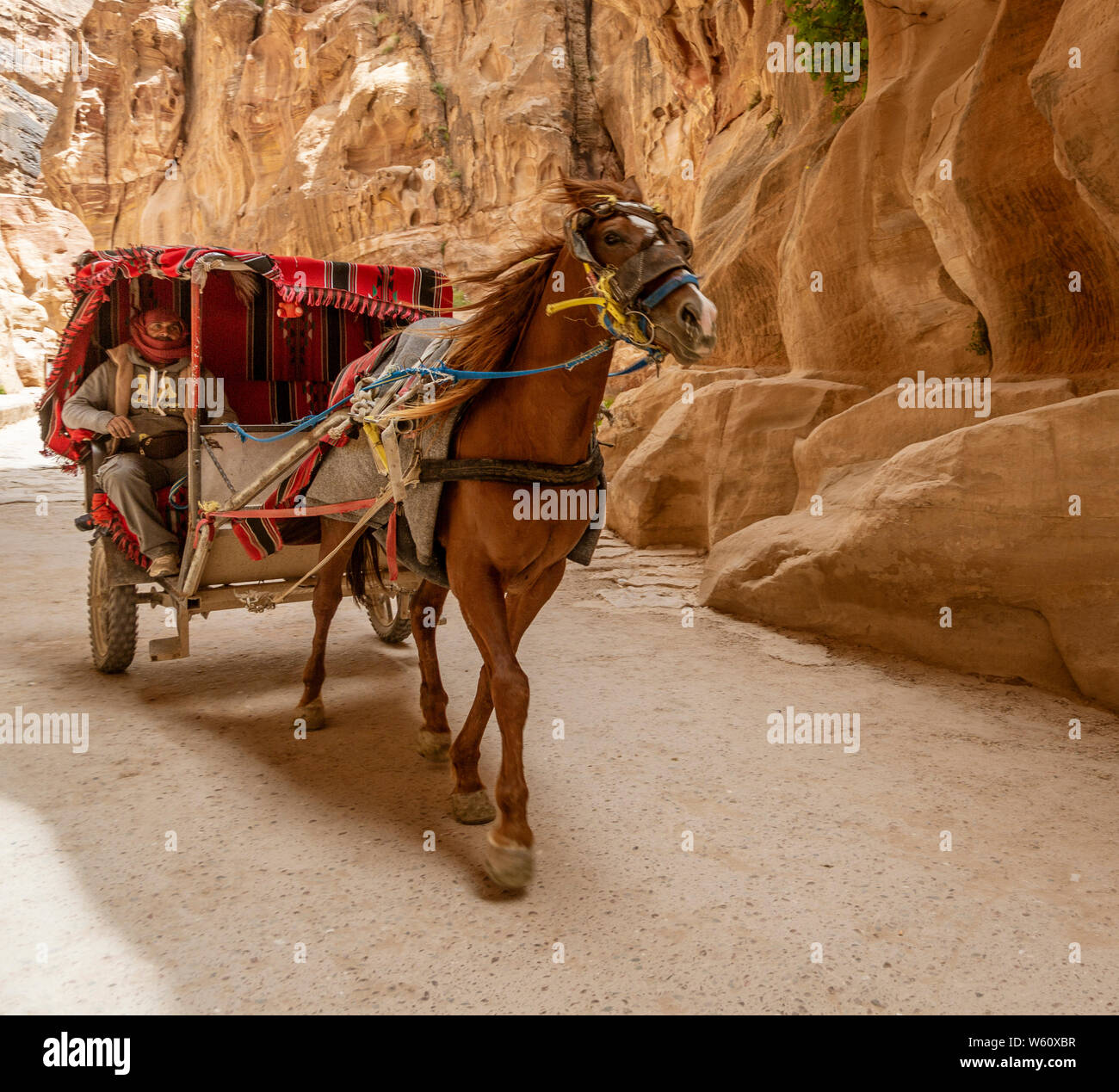 Petra, Jordan - 2019-04-21 - Horse Carriange Brings Tourists Into the ...