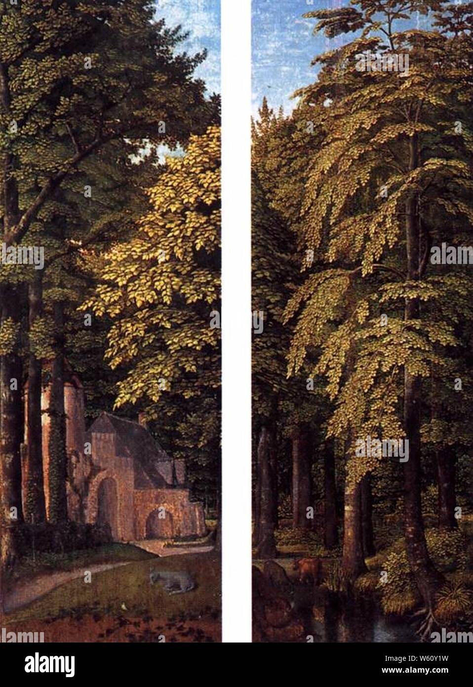 David Forest scenes Stock Photo - Alamy