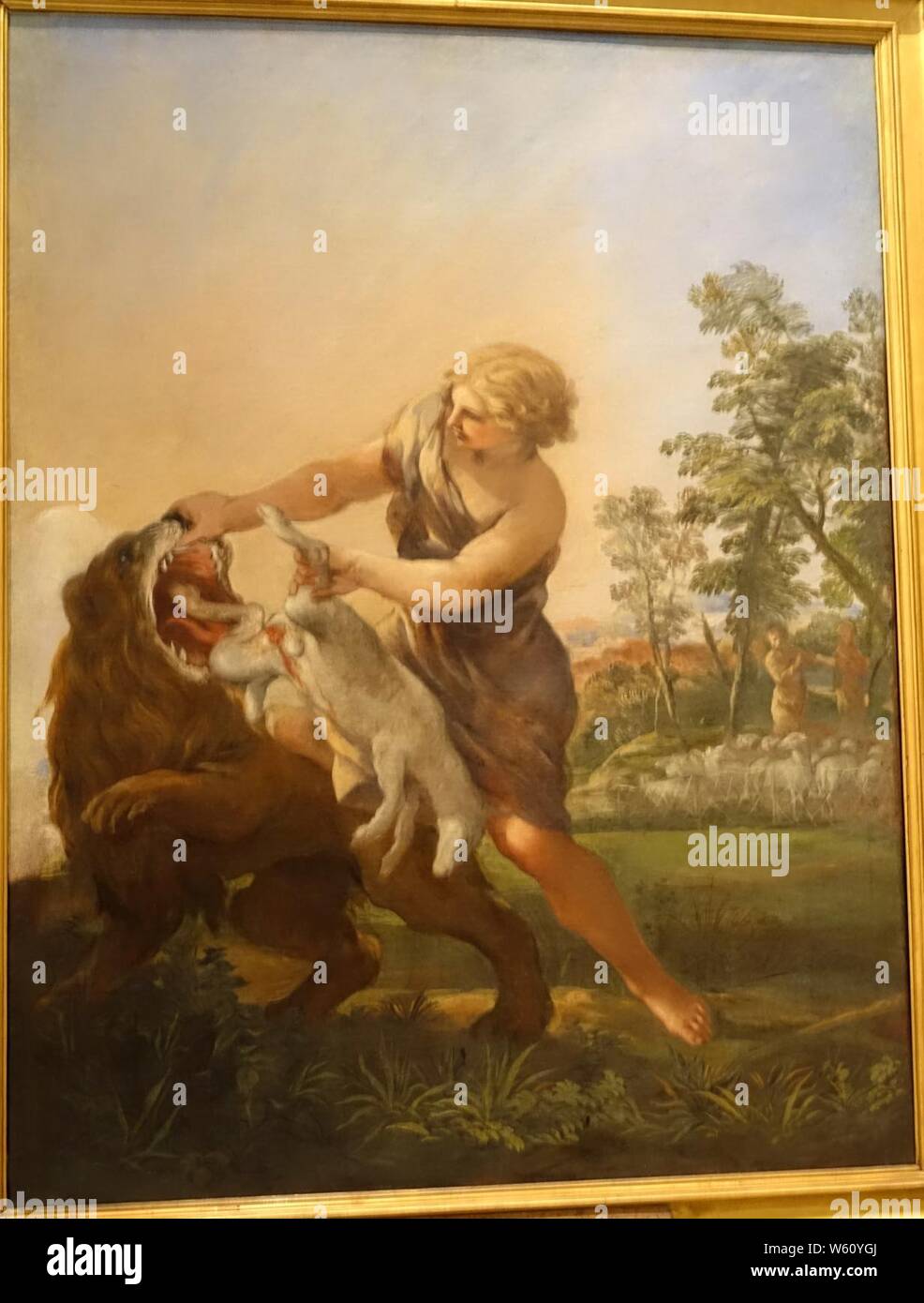 David killing the Lion, by Pietro da Cortona, 1600s, oil on canvas ...