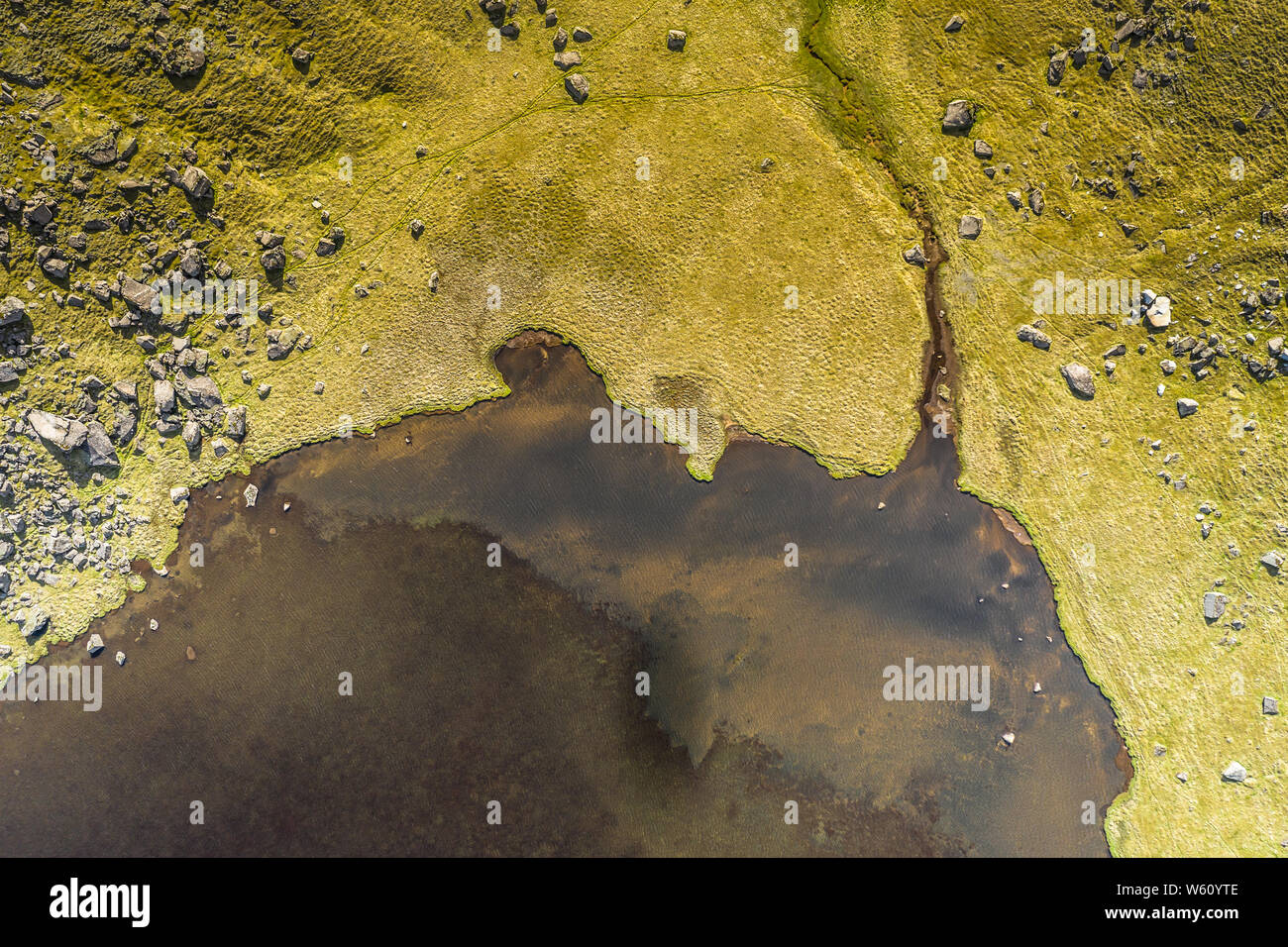 aerial view of pond and green nature Stock Photo - Alamy