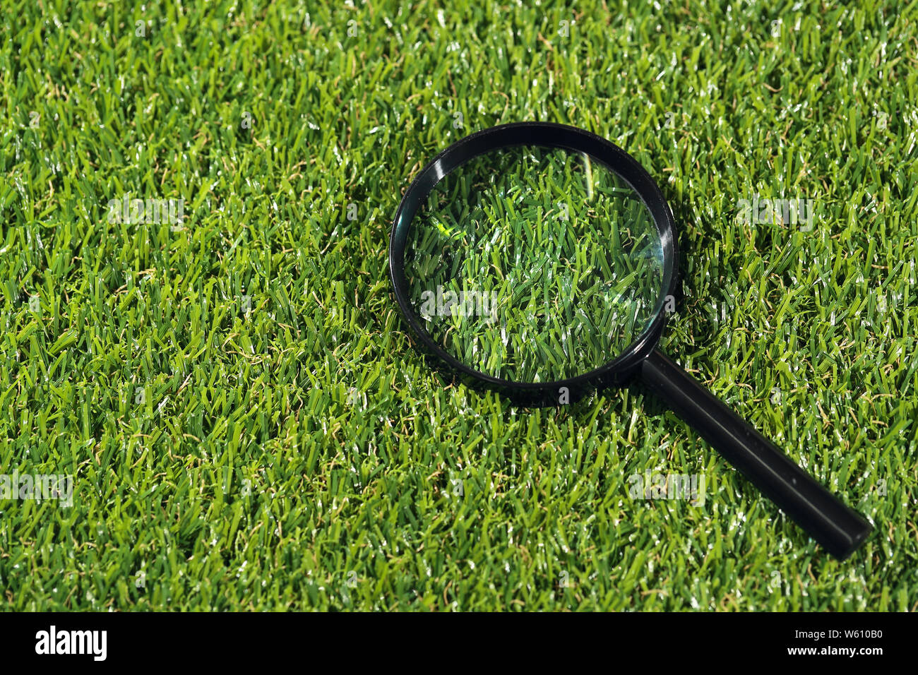 magnifying glass on grass as idea for creative concept Stock Photo - Alamy