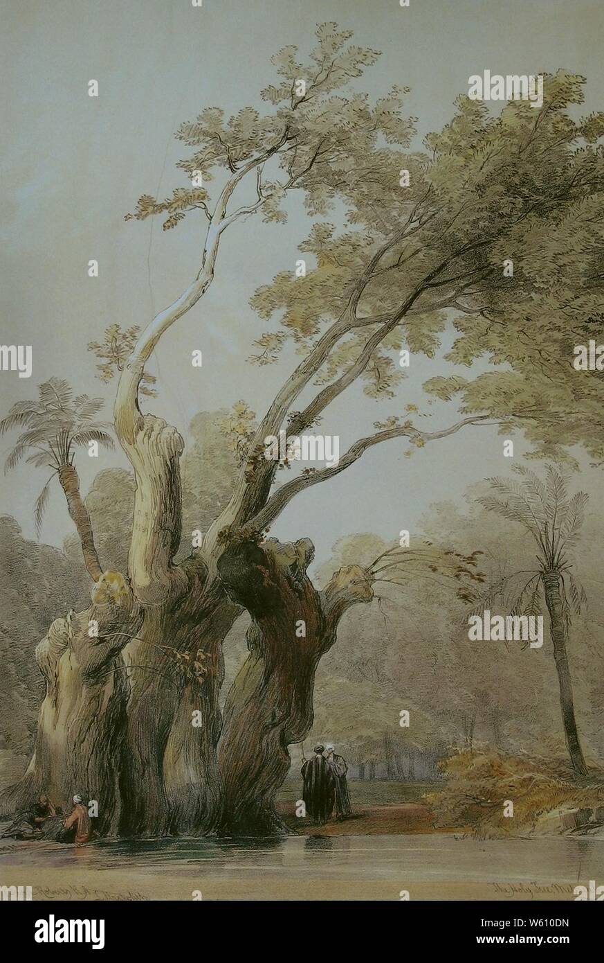 David Roberts holy tree Metereah Stock Photo - Alamy