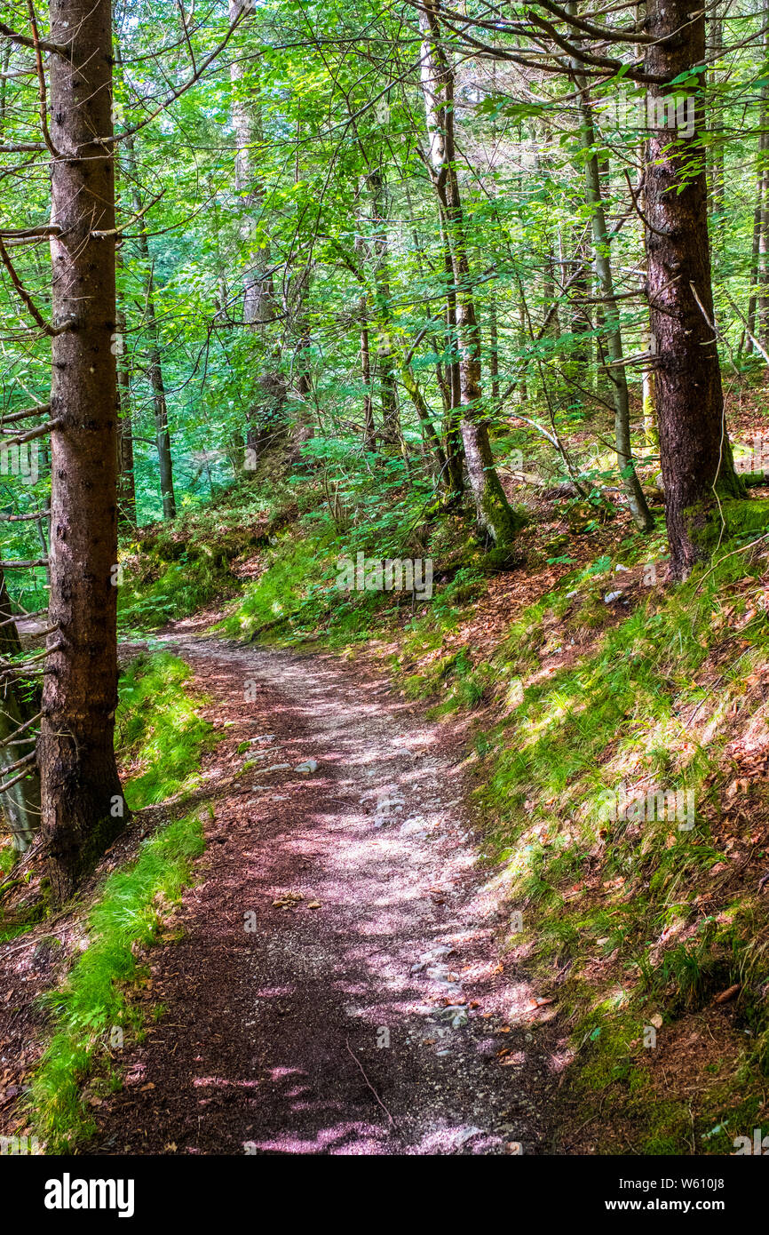 Path Foorpath High Resolution Stock Photography and Images - Alamy