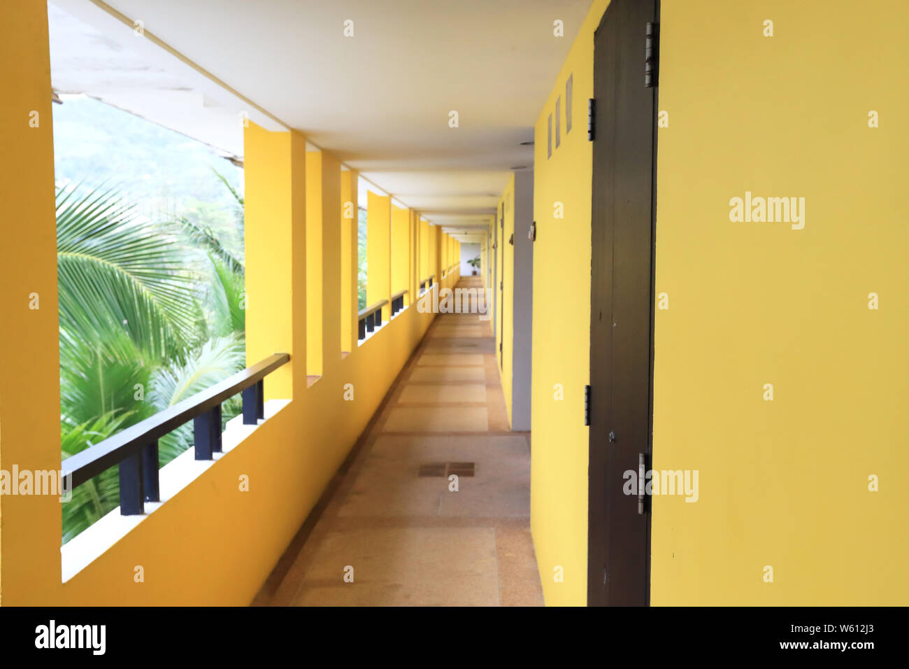 modern yellow wooden walkway using as background Stock Photo - Alamy