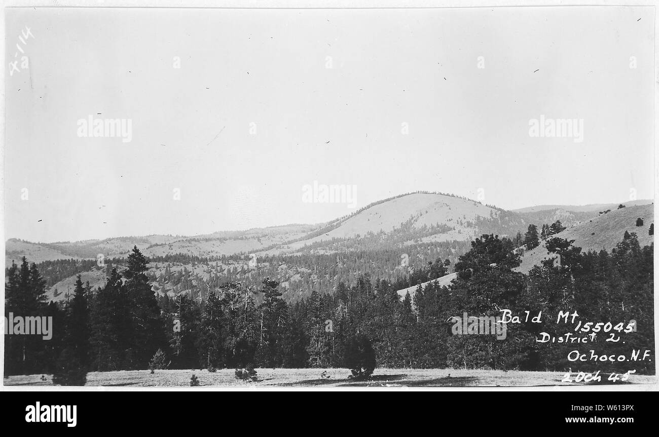 Bald Mountain from Dicks Creek Divide, Ochoco Forest, 1914; General ...