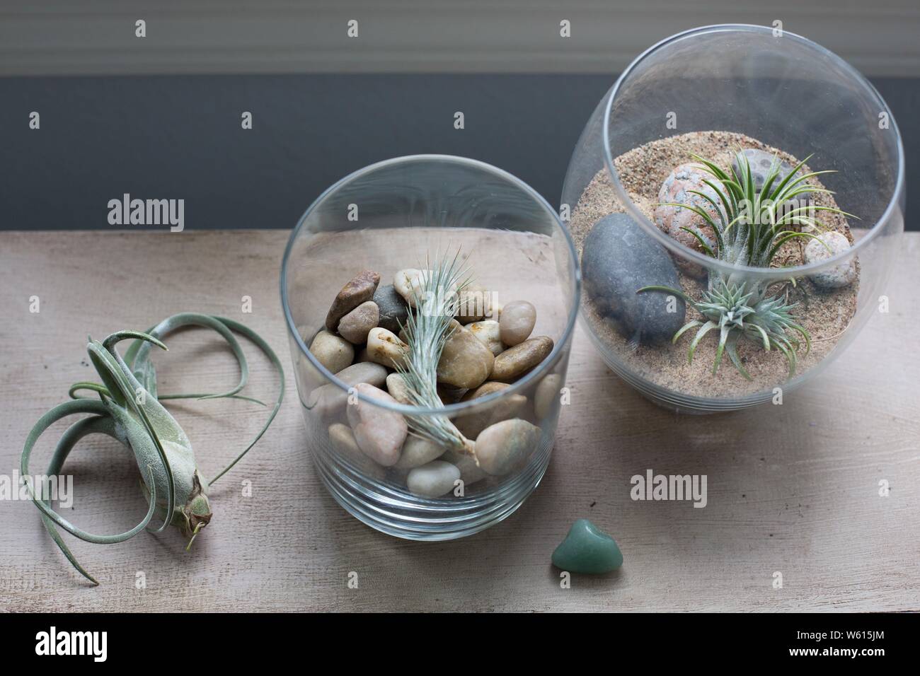 Clean air plants hi-res stock photography and images - Alamy