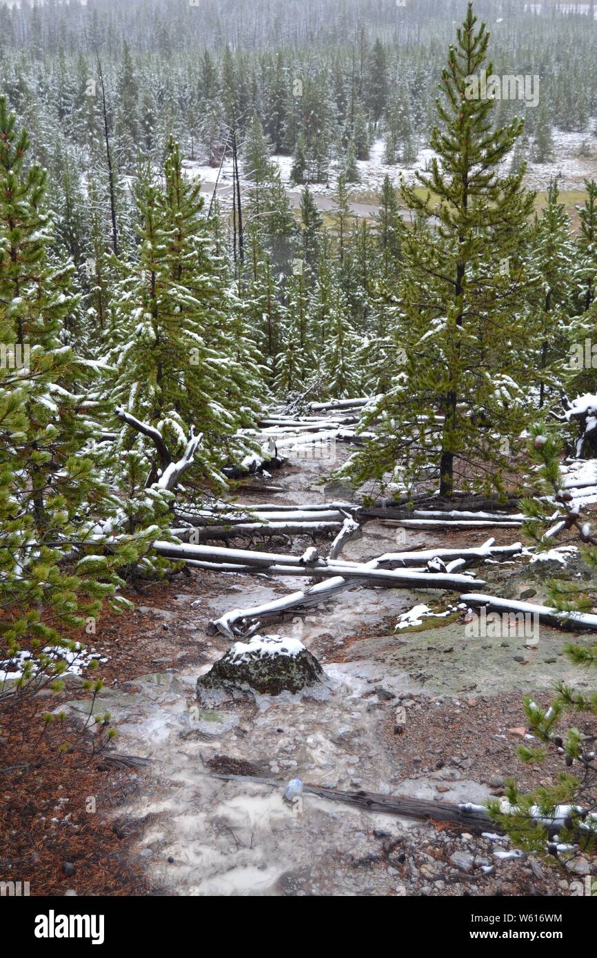 Yellowstone nationalpark yellowstone nationalpark hi-res stock ...