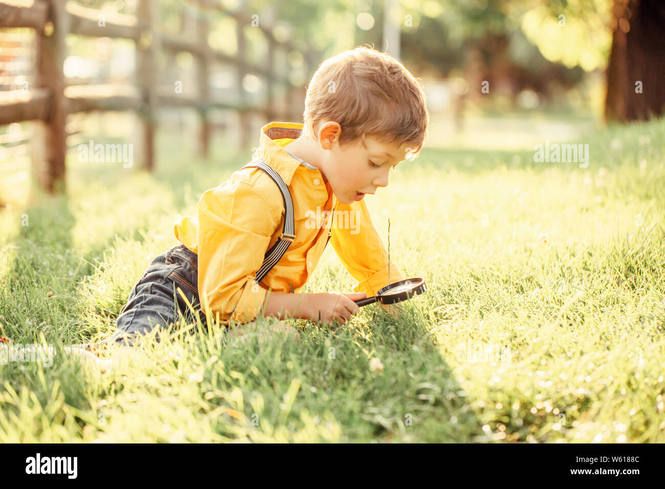 Cute adorable Caucasian boy looking at plants grass in park through ...