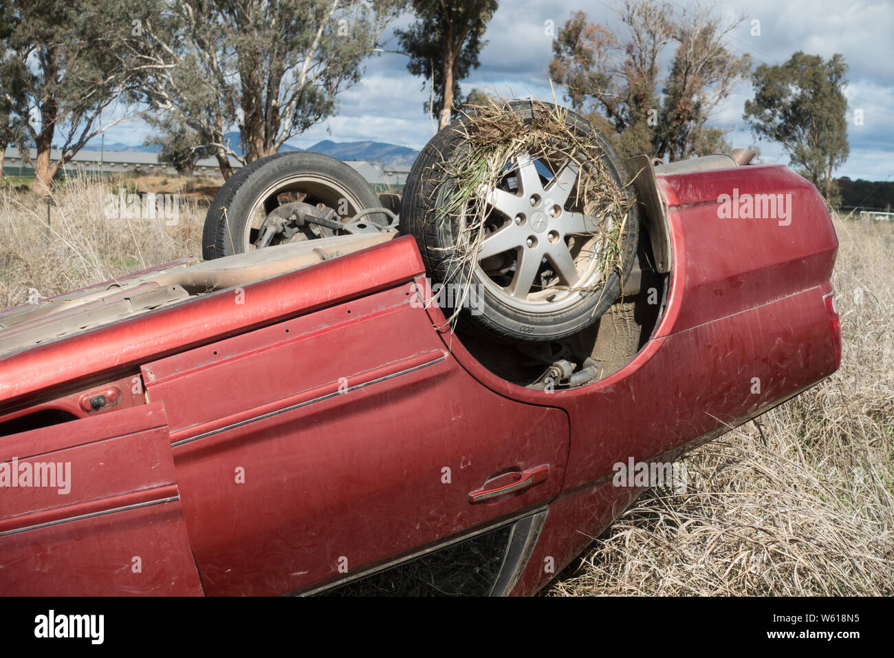 Grass stuck in the wheel rim of a crashed car in rural Australia Stock ...