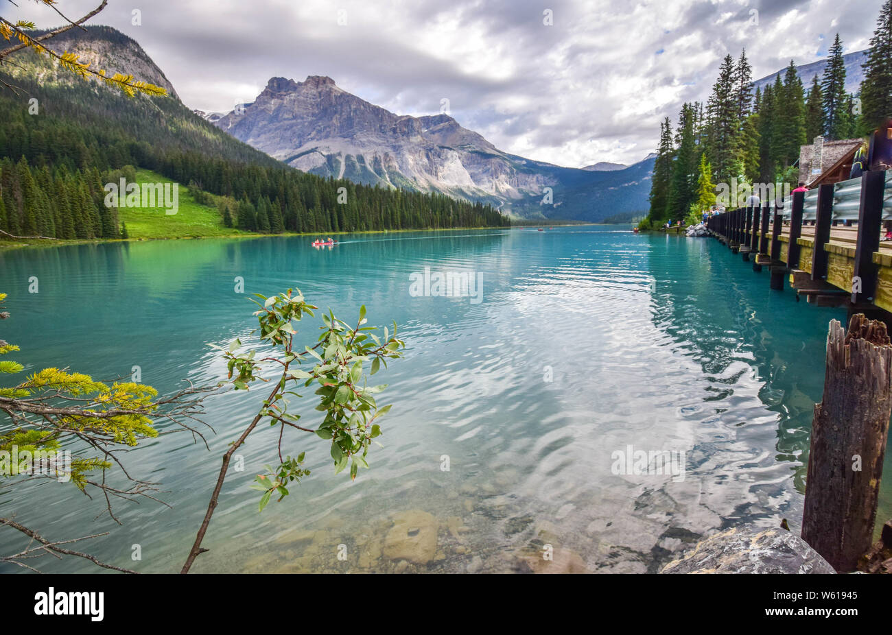 Emerald lake in Yoho National park Stock Photo - Alamy