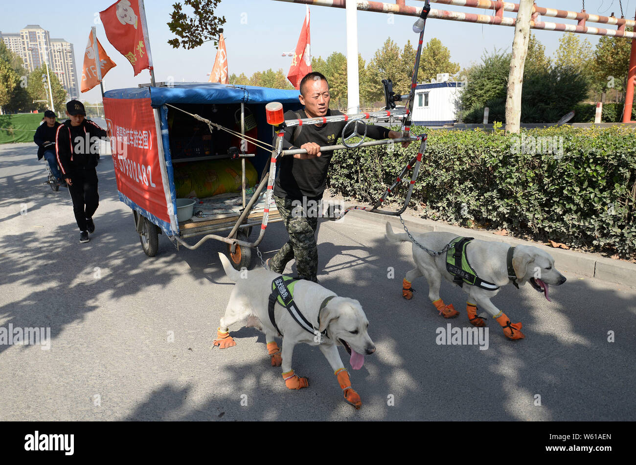 Chinese man Cui Mingwei, his daughter Yang Yang, and the two labrador ...