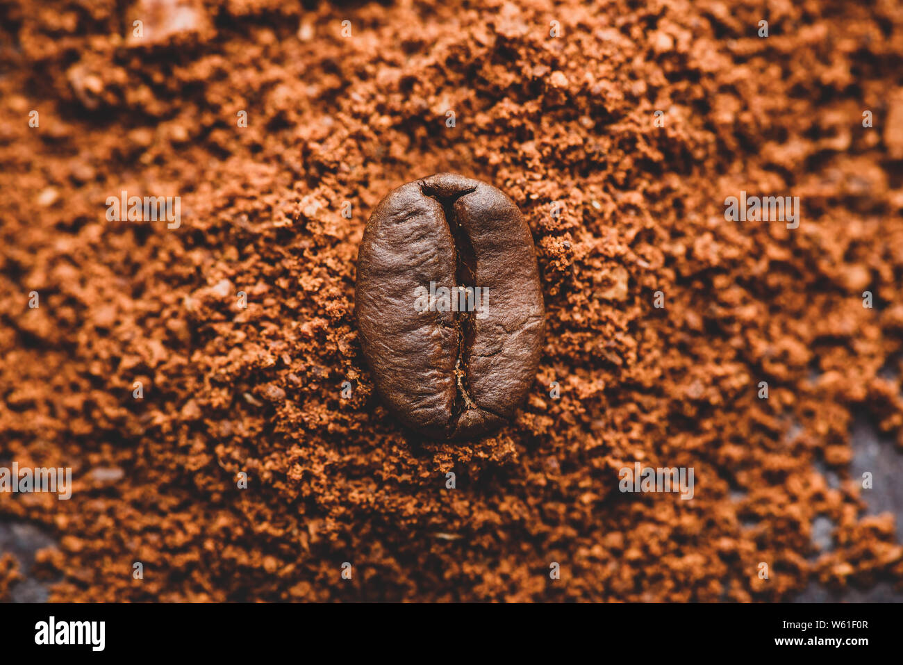 Coffee bean on heap of ground coffee Stock Photo - Alamy