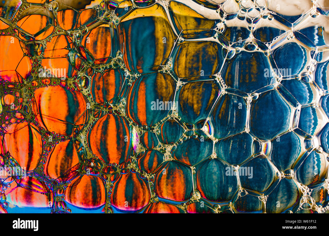 Oil bubbles inside water base form patterns Stock Photo - Alamy