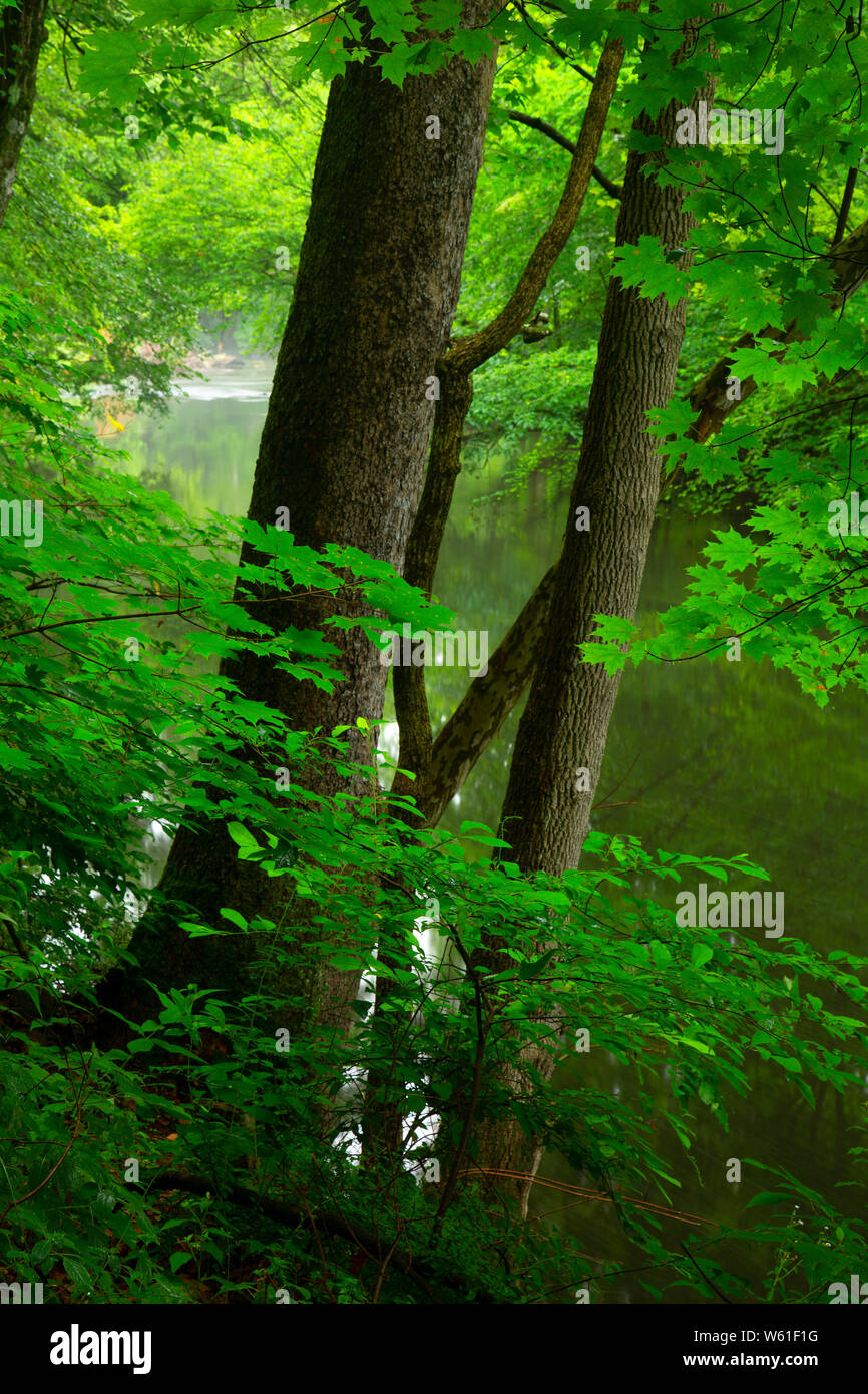 Quinnipiac River along Quinnipiac River Gorge Trail, Meriden Linear ...